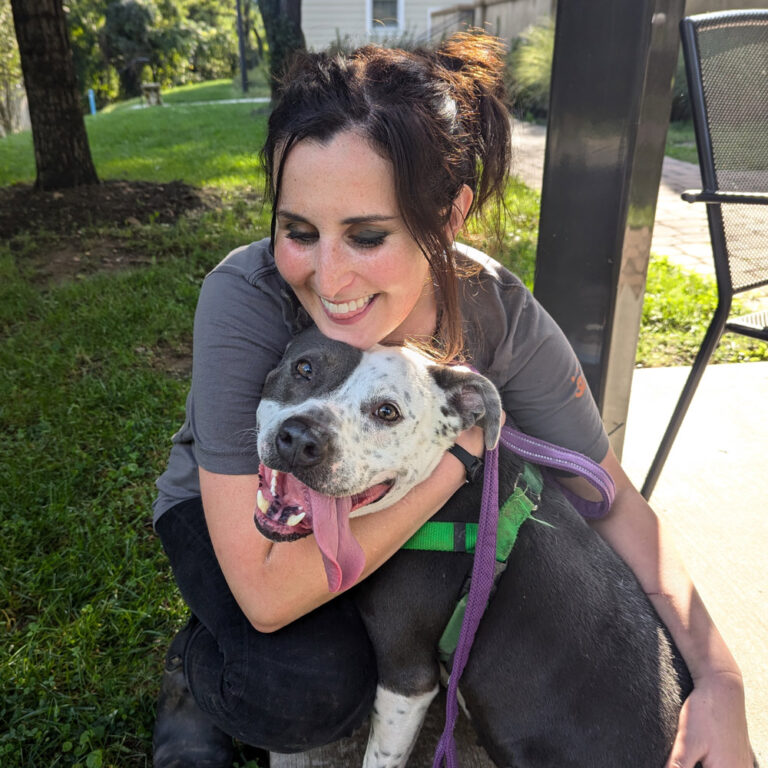 Volunteer - Maryland SPCA