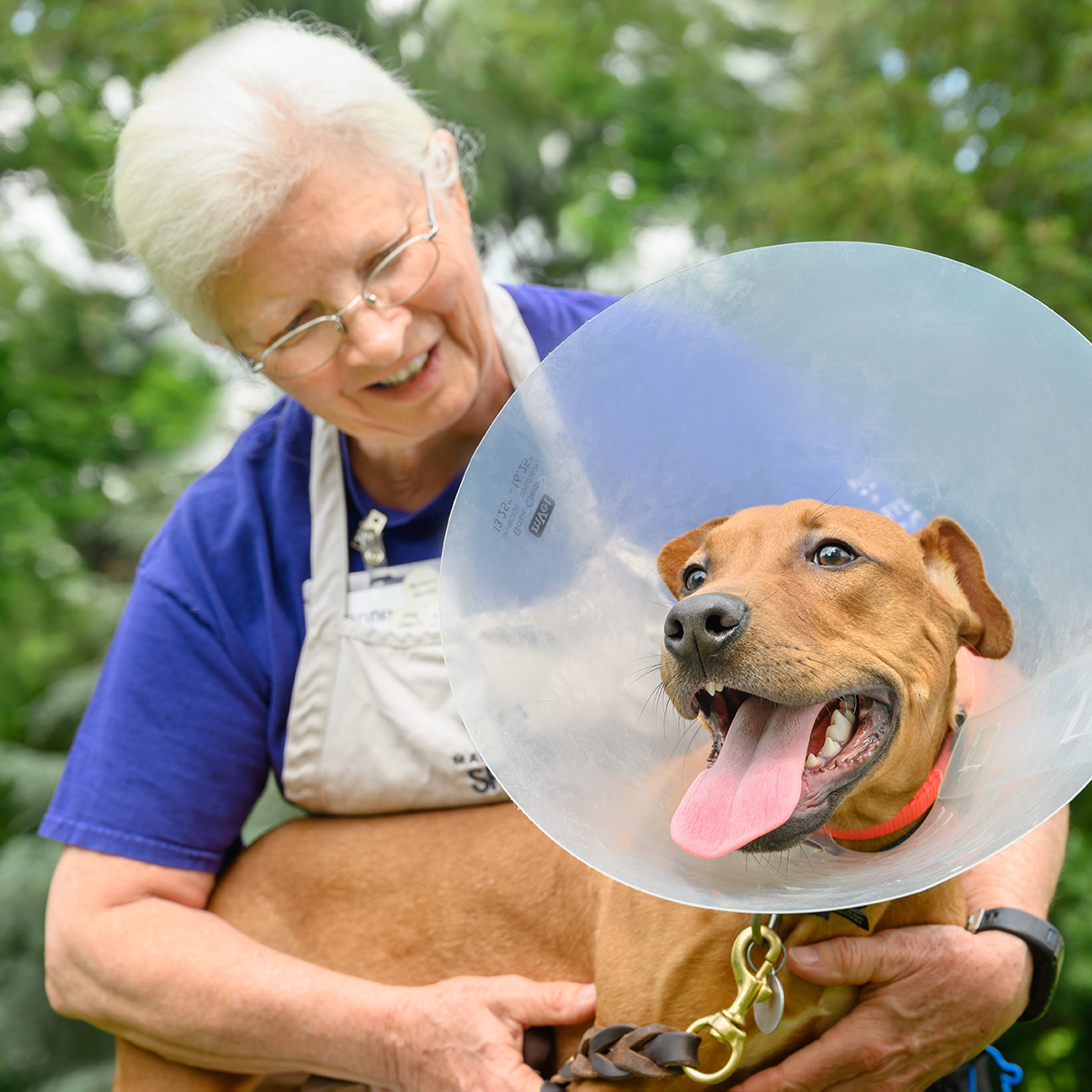 Planning For The Future: Caring For Your Pet - Maryland SPCA