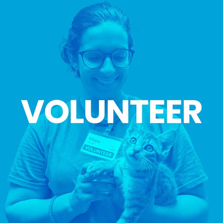 Home - Maryland SPCA