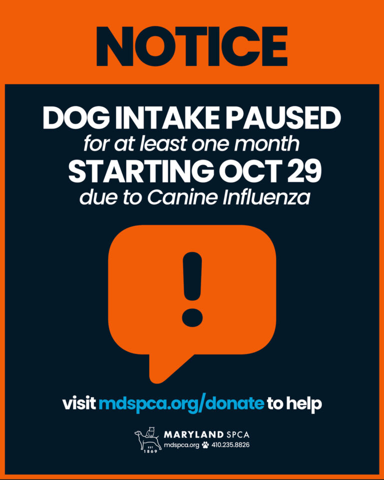 Home - Maryland SPCA
