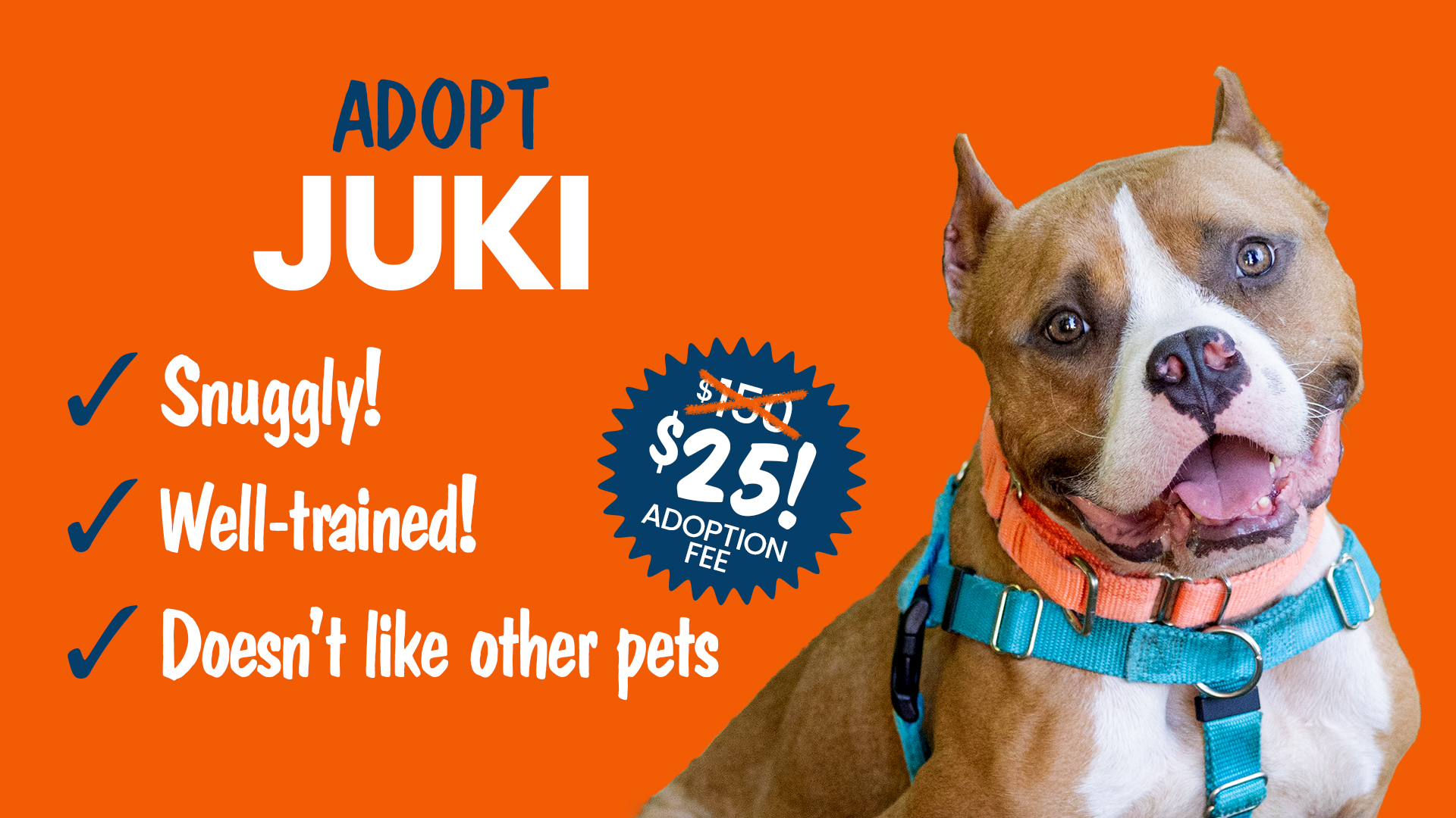 Home - Maryland SPCA