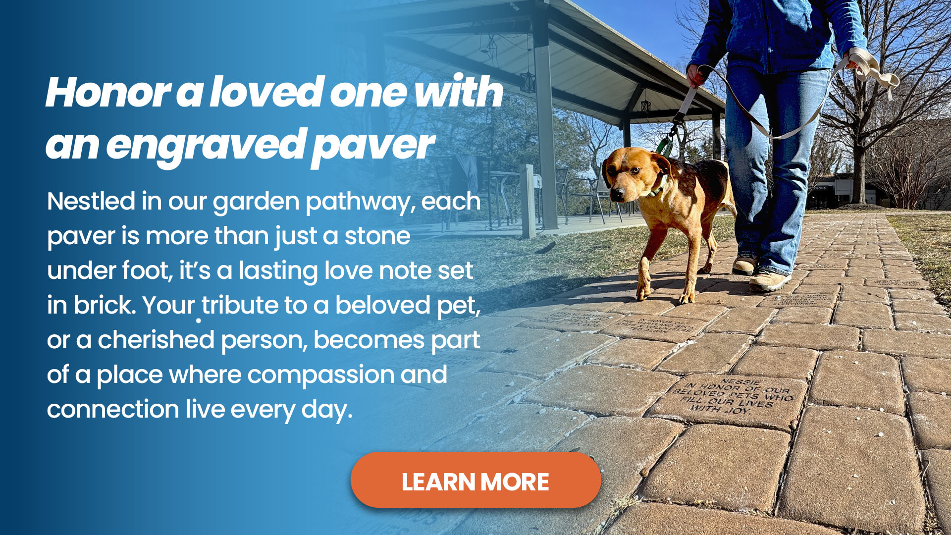 Home - Maryland SPCA