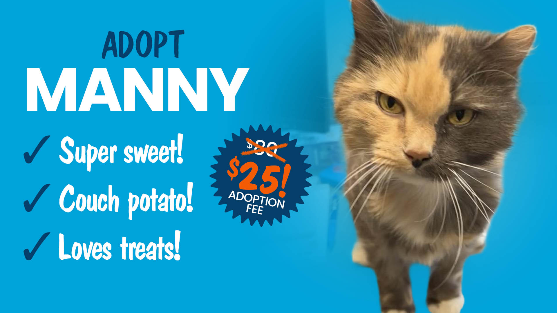 Home - Maryland SPCA
